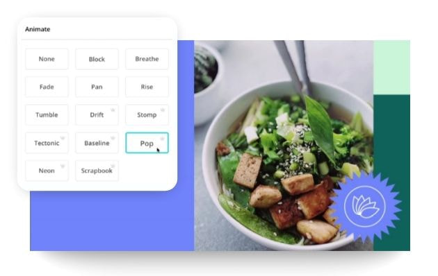 Canva Pro Video: Premium Clip Library & Features | Canva Pro