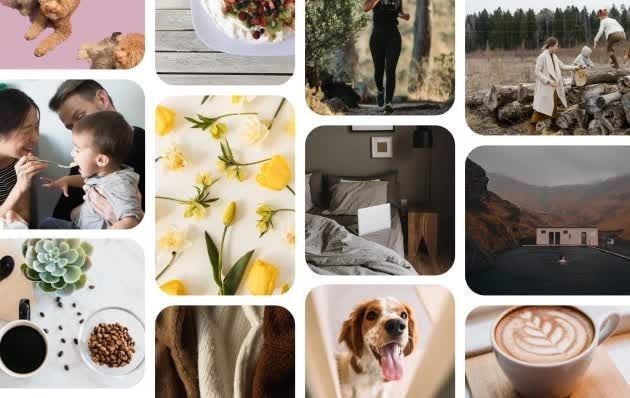 Canva Pro Video: Premium Clip Library & Features | Canva Pro