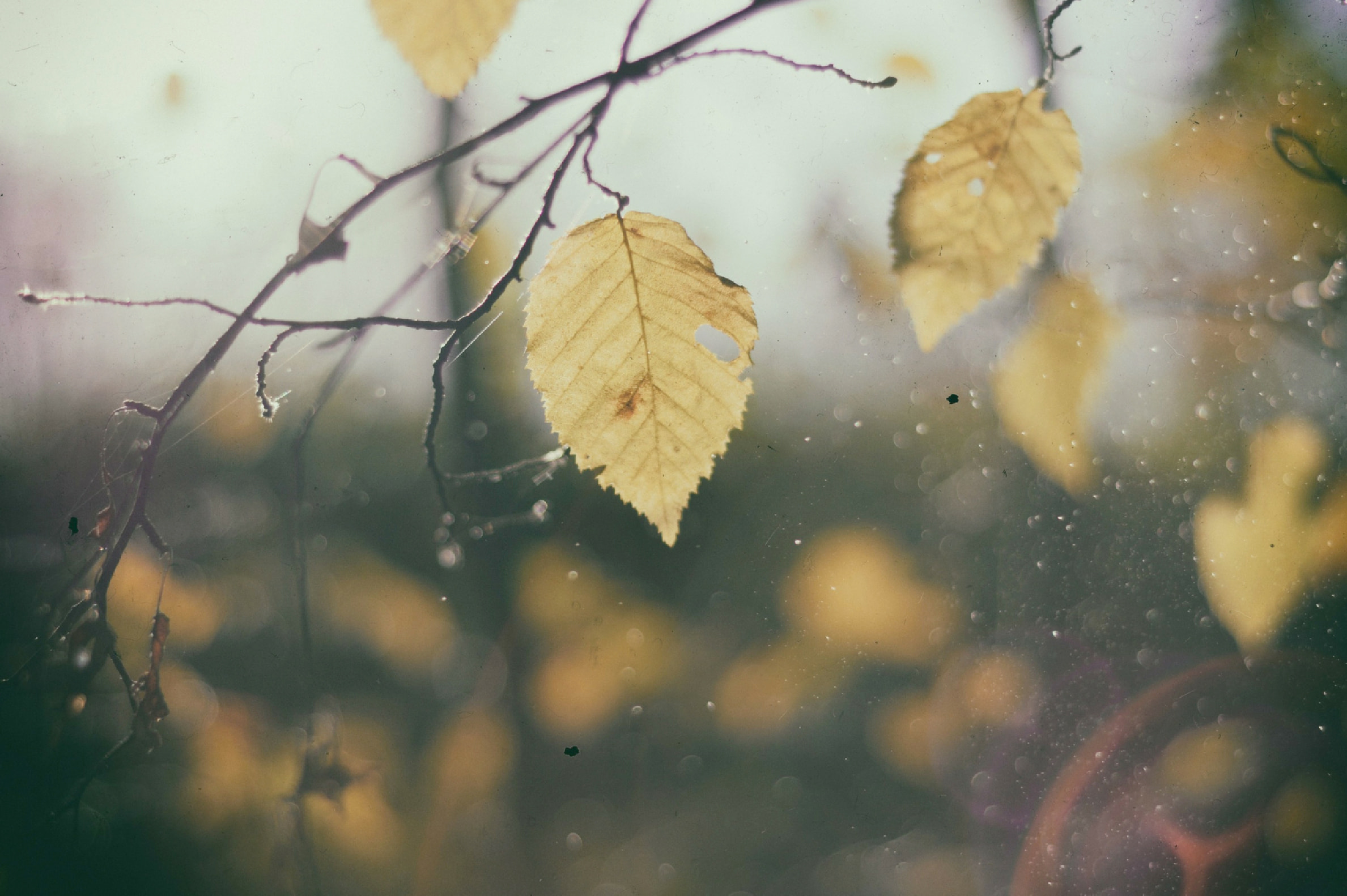 Colores en fotografía - todo lo que debes saber