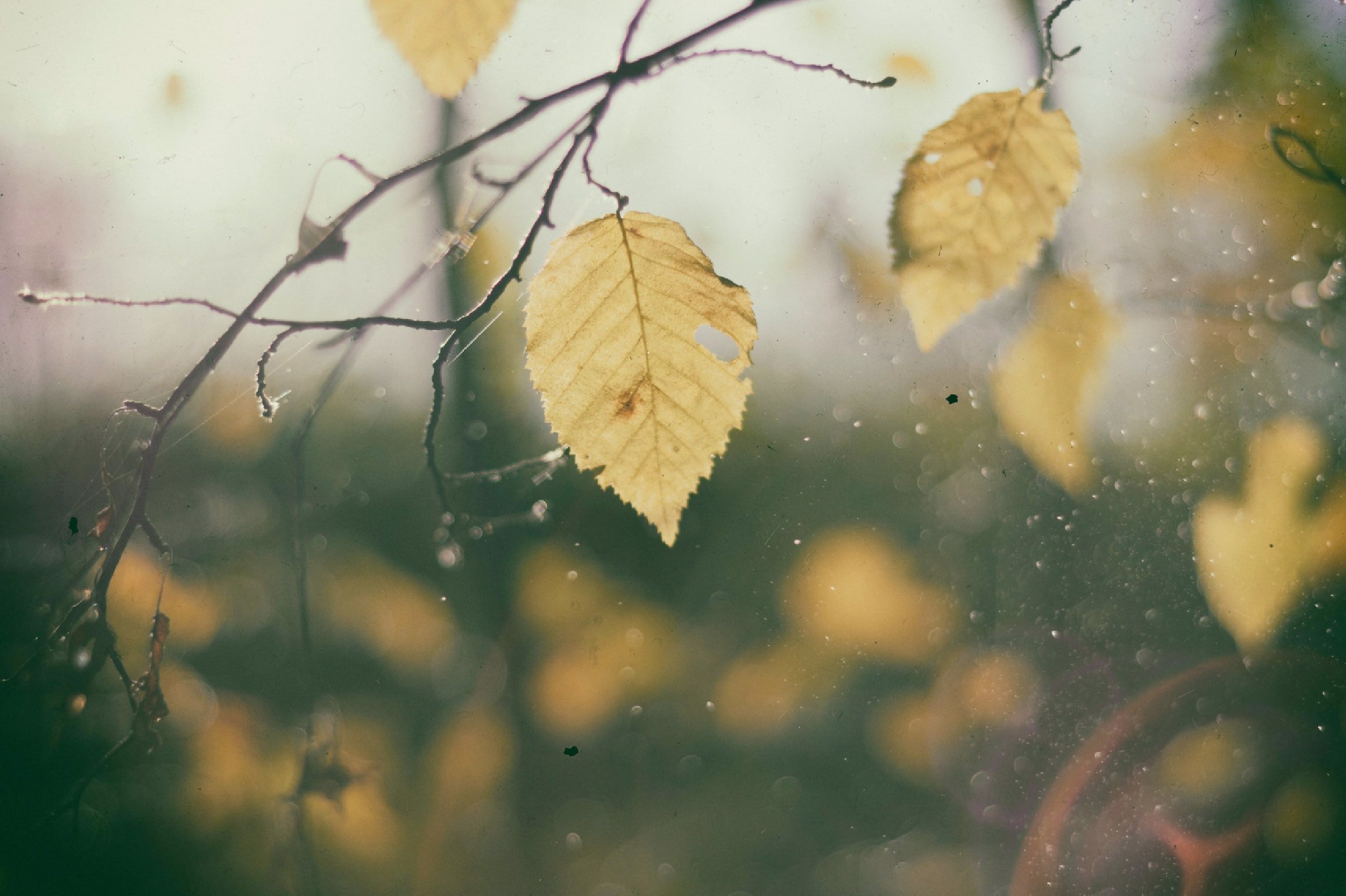 Colores en fotografía - todo lo que debes saber