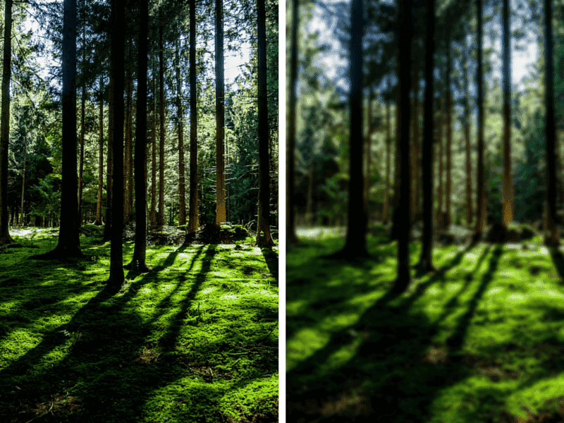 Flouter gratuitement une photo en ligne | Canva