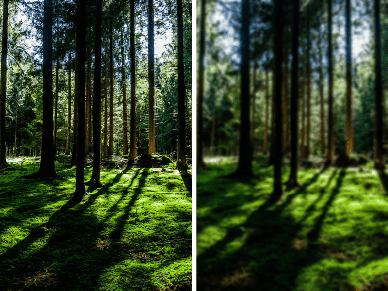 Mengedit Foto Secara Online dengan Efek Blur Foto | Canva