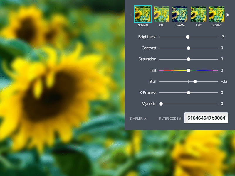 Mengedit Foto Secara Online dengan Efek Blur Foto | Canva