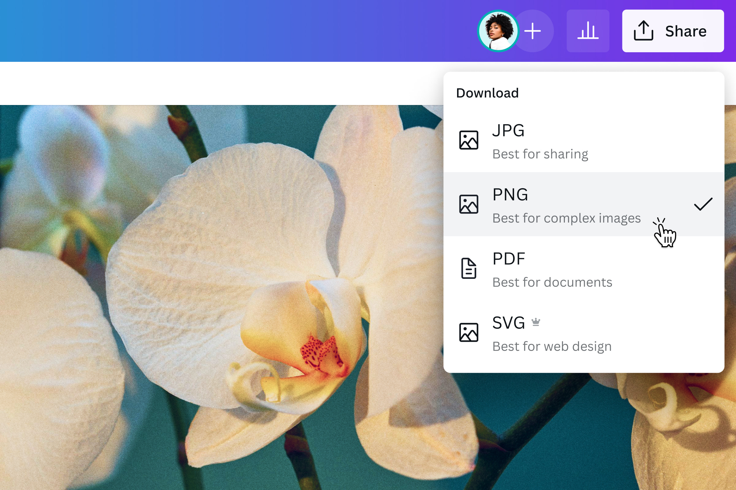 Gratis JPG naar PNG omzetten: Verander JPG-bestanden naar PNG | Canva