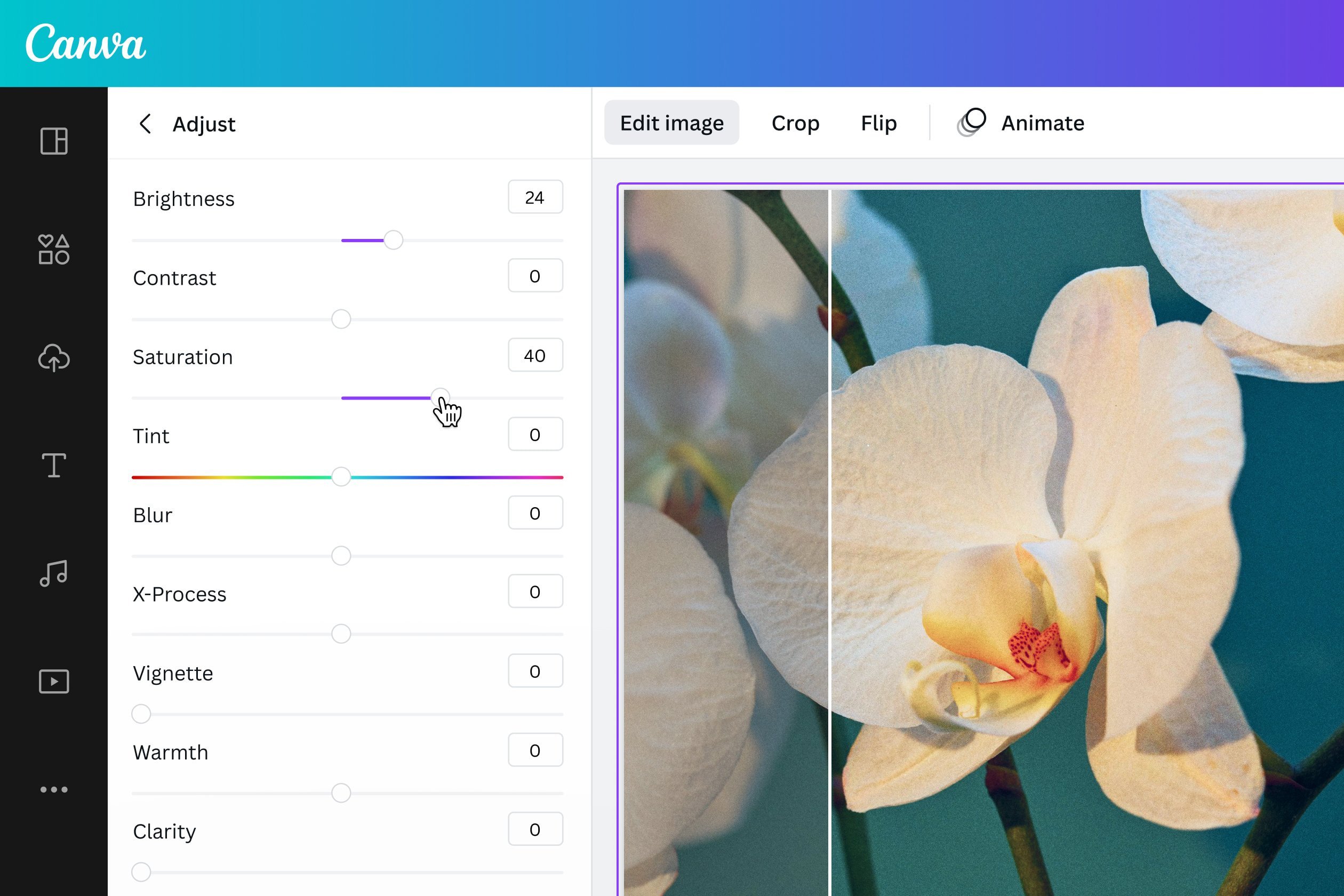 Conversor de imagens: converte imagens para qualquer formato | Canva