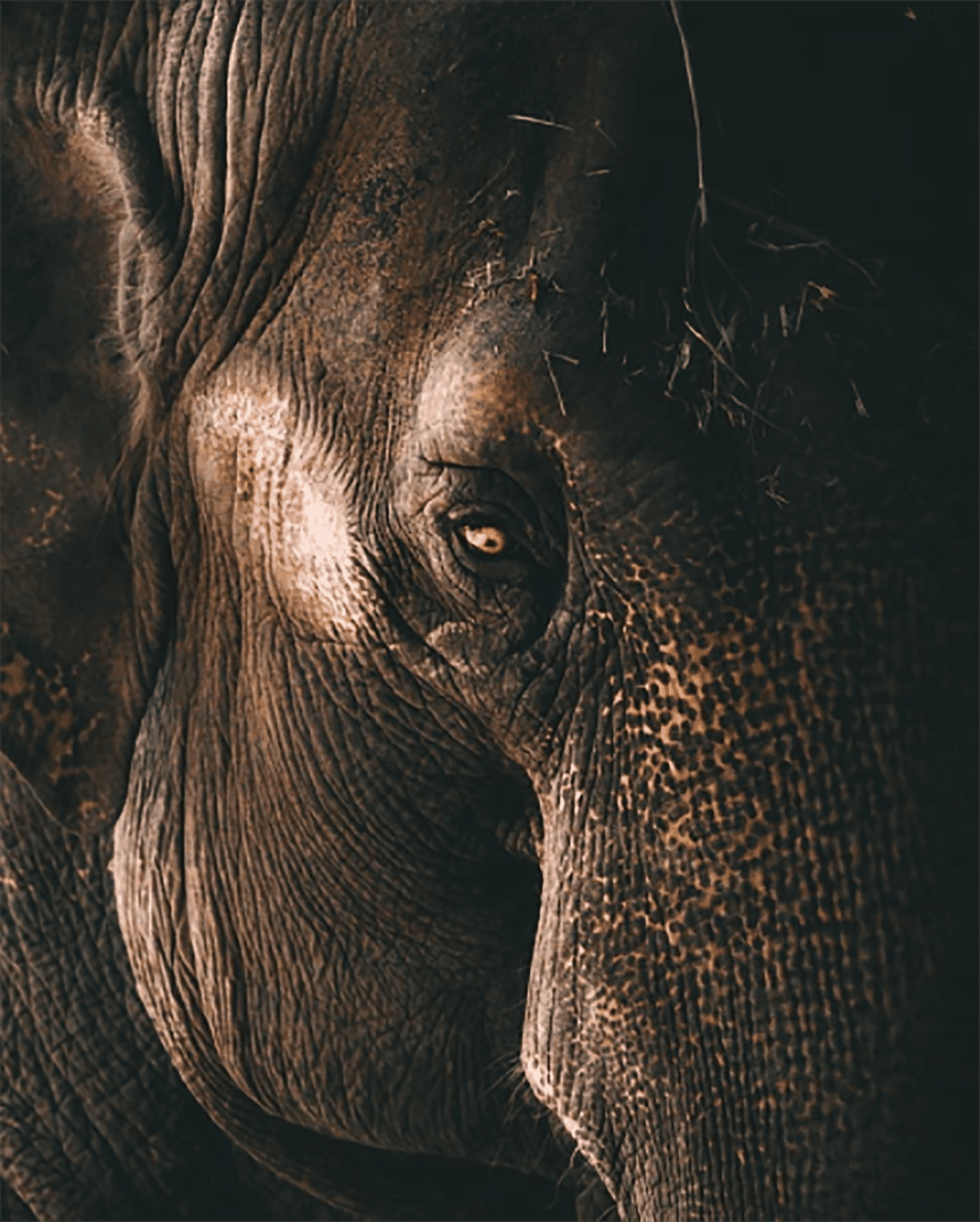 The beginner’s guide to natural light and how to use it to take great ...