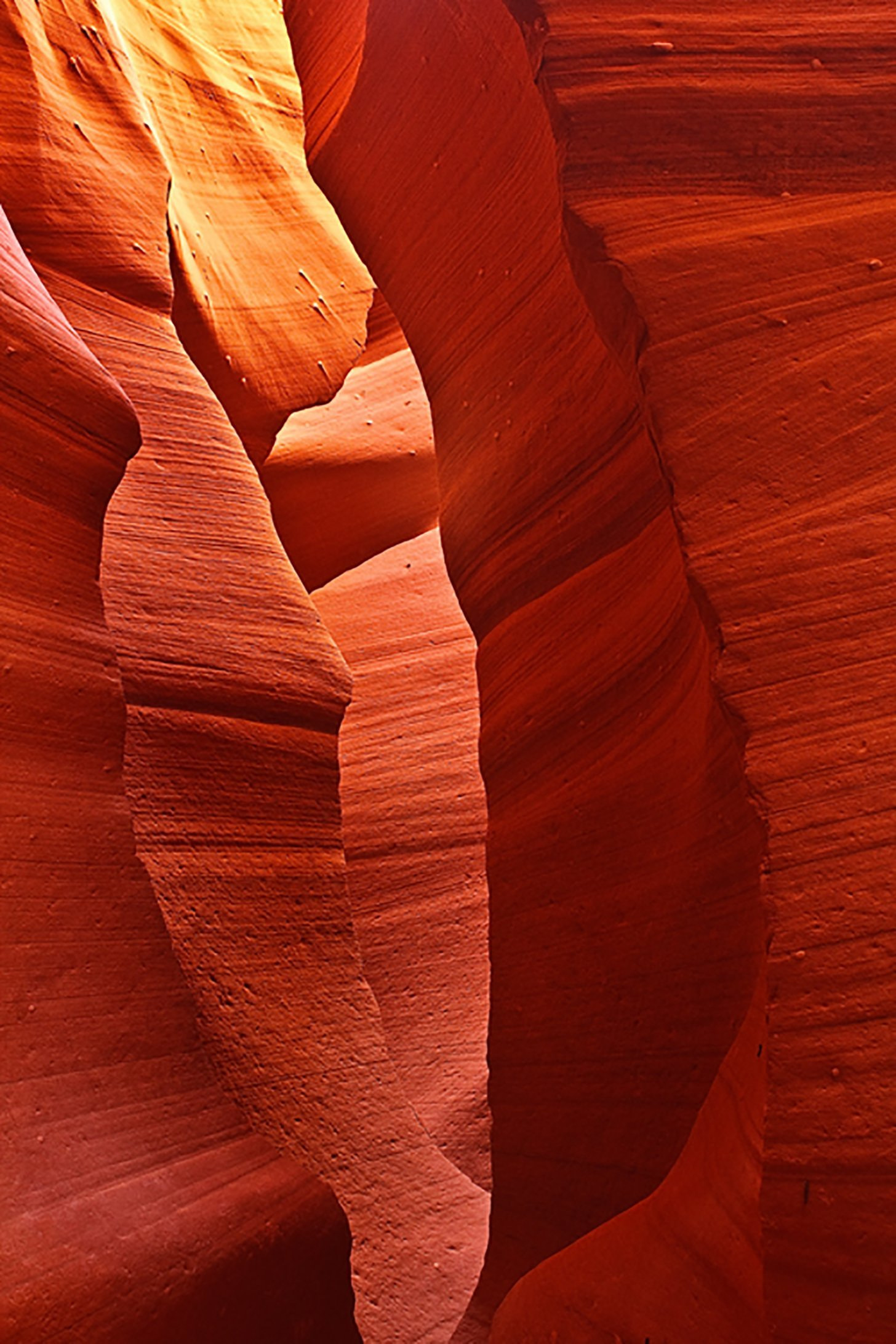 The beginner’s guide to natural light and how to use it to take great ...