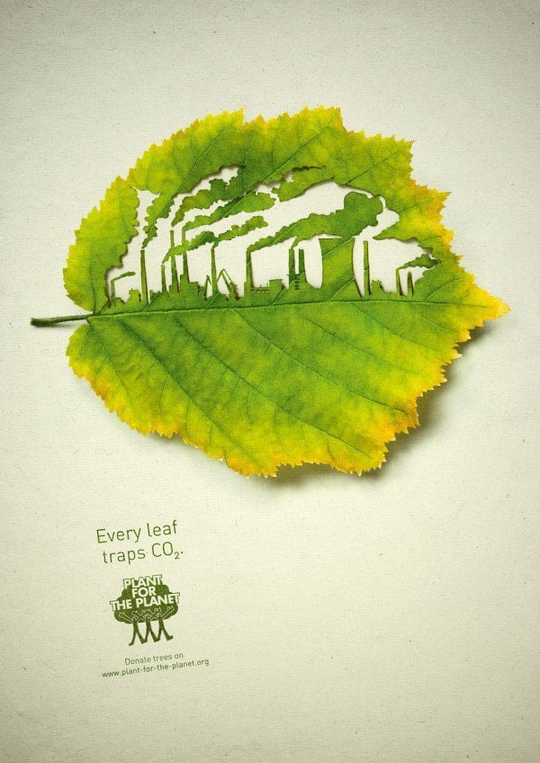 57 print advertising examples that still work in 2025 | Canva
