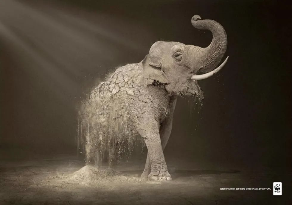 57 print advertising examples that still work in 2025 | Canva