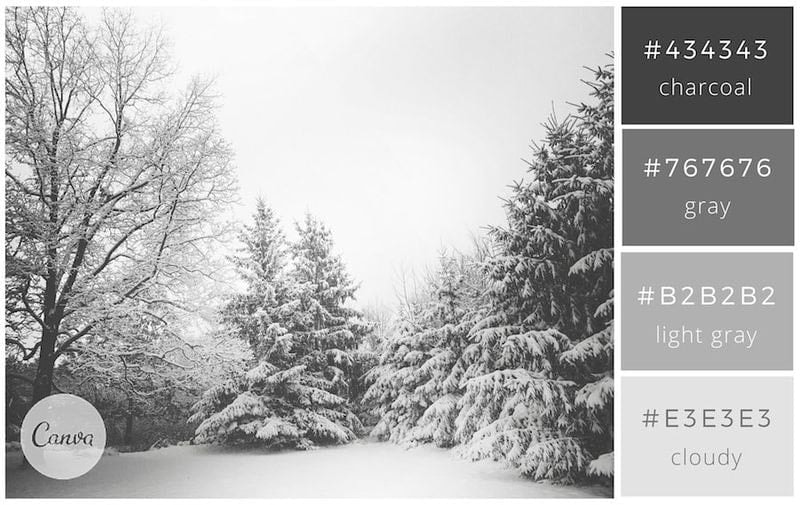 Cómo diseñar con colores monocromáticos - tips de experto