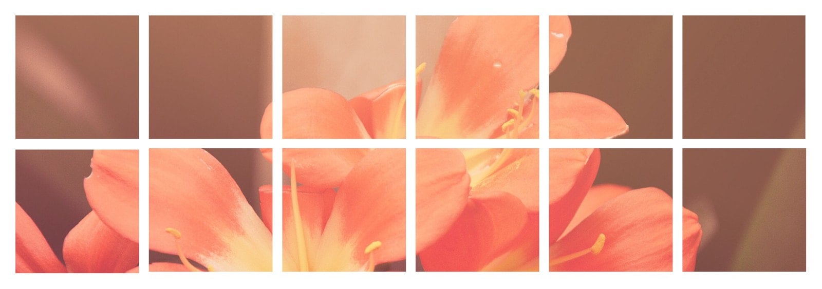 Free Tumblr Banner Maker With Awesome Templates - Canva