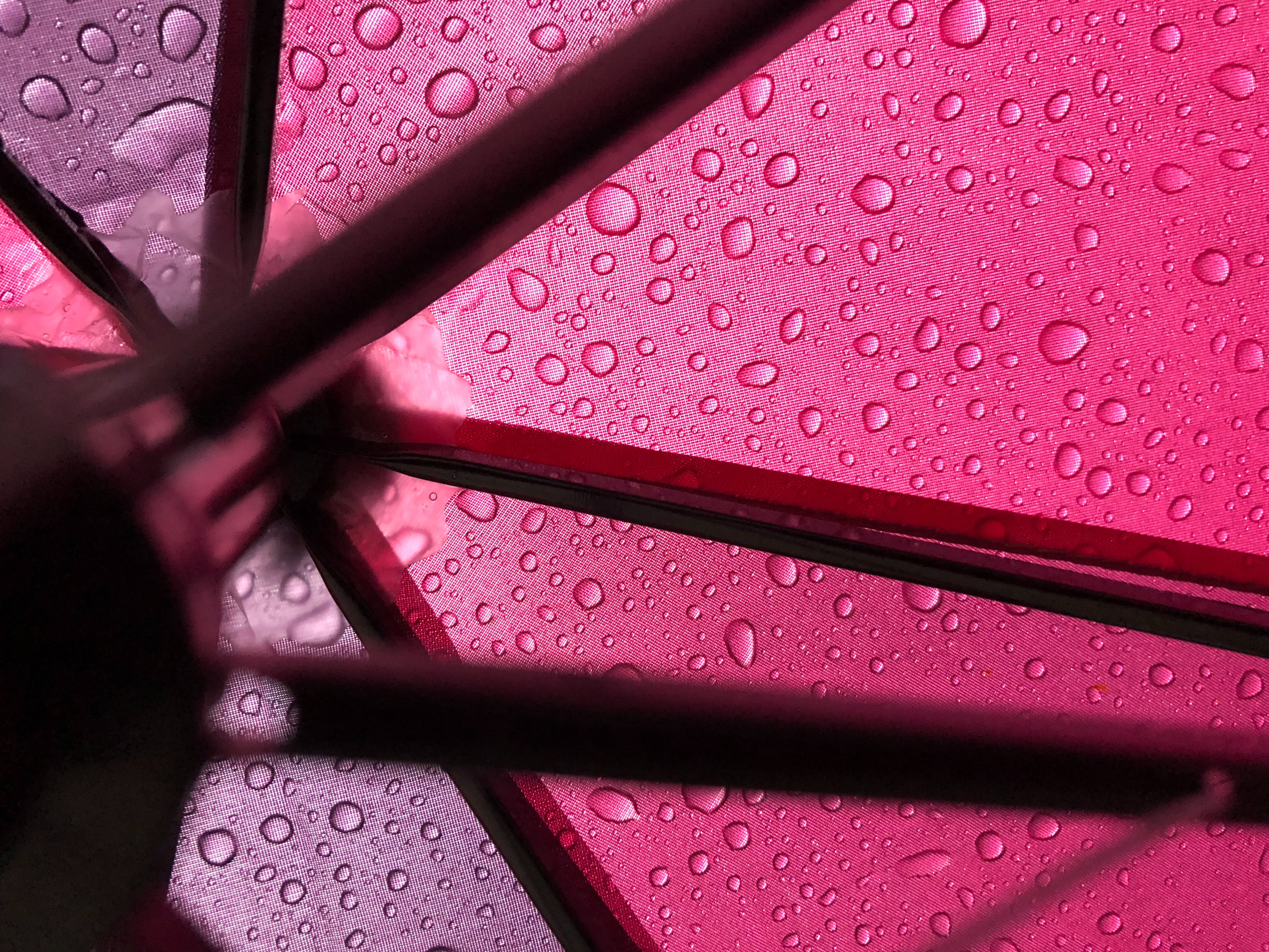 10 mobile photography tips to improve your social media feed – Learn