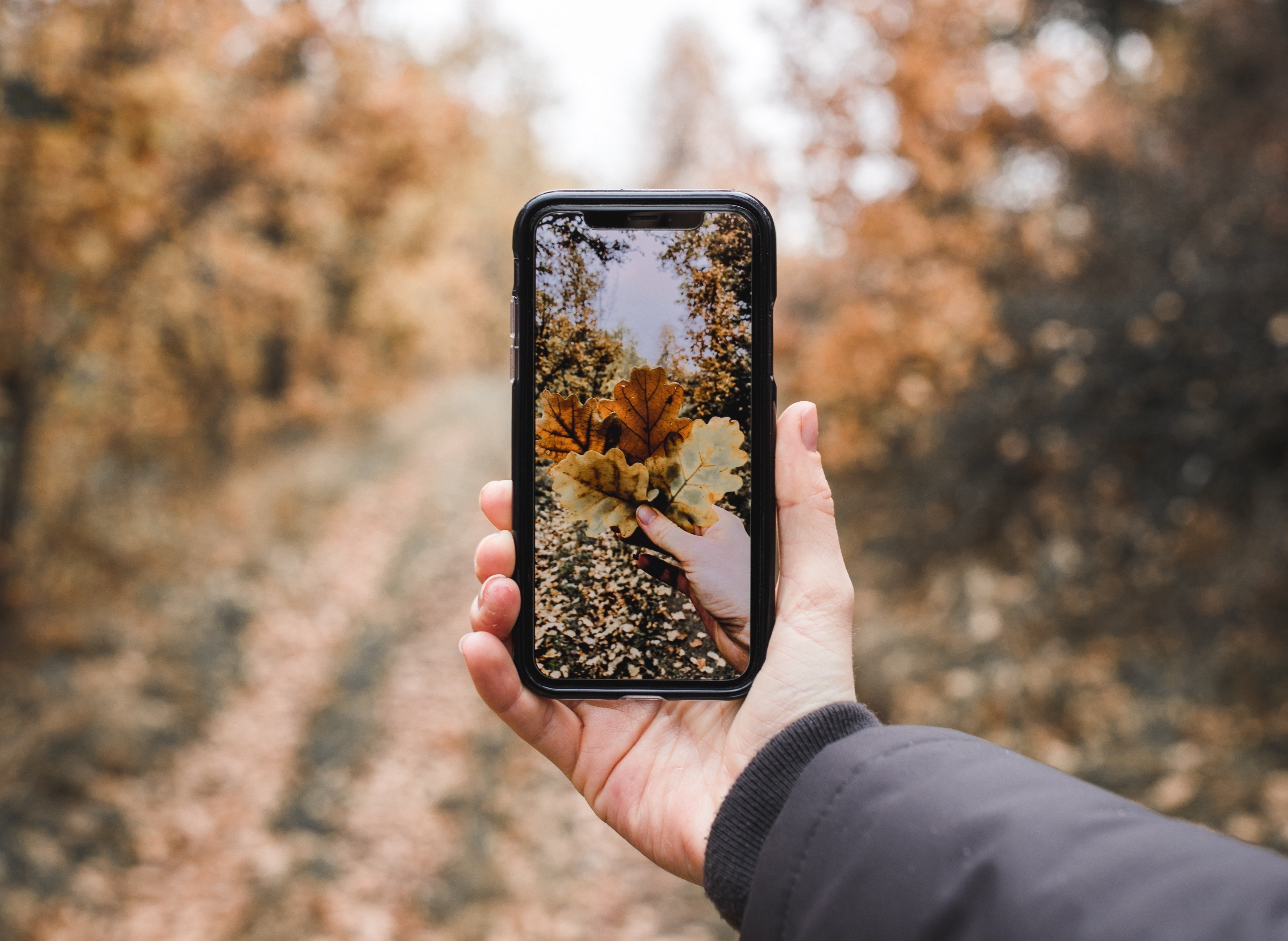 The best camera is the one that’s with you: 19 smartphone photography ...