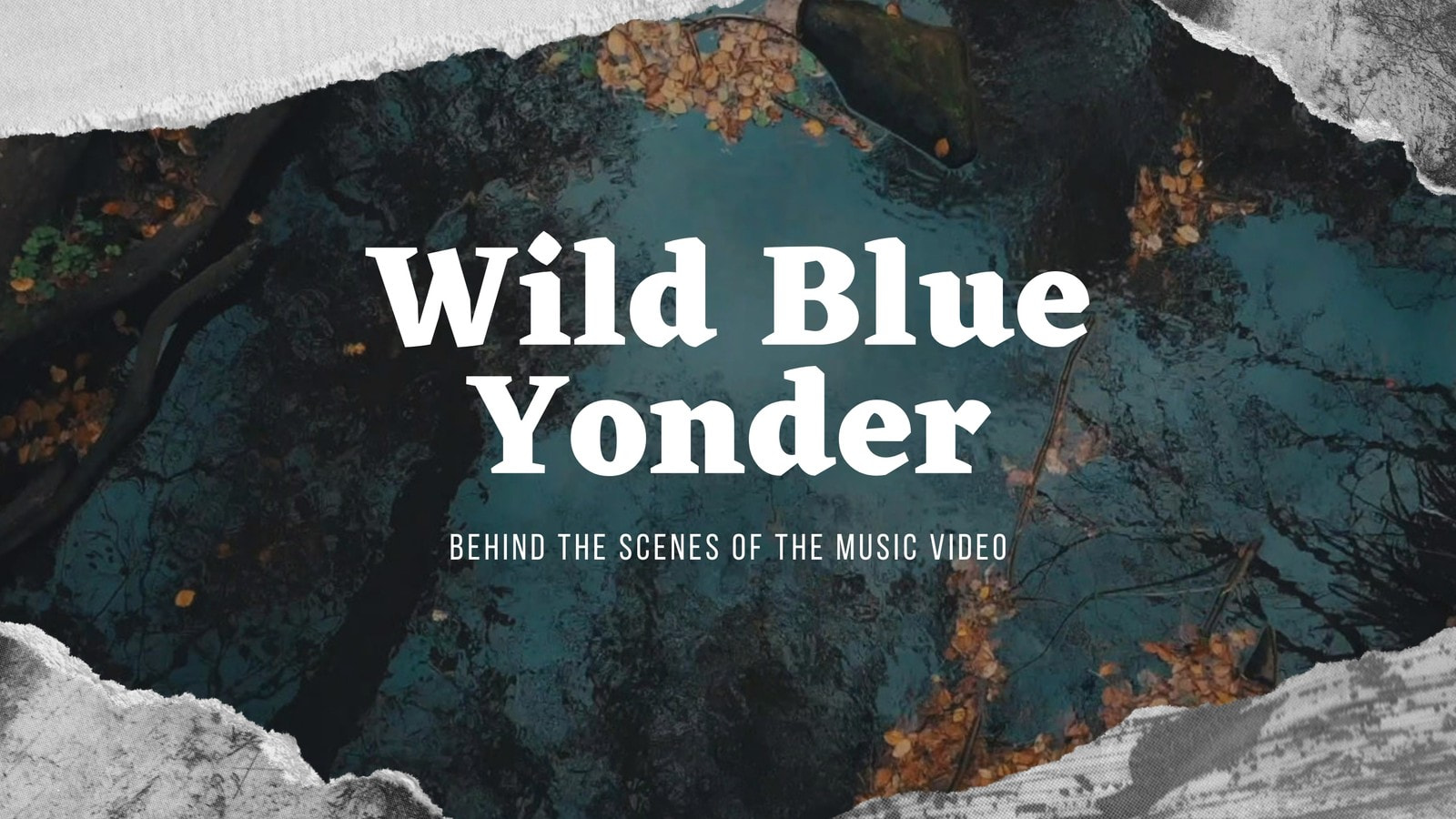 Free music video maker to create music videos online | Canva