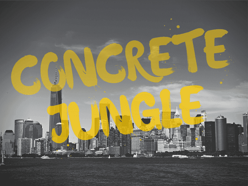 Hacer transparente una imagen - Crear imágenes transparentes | Canva