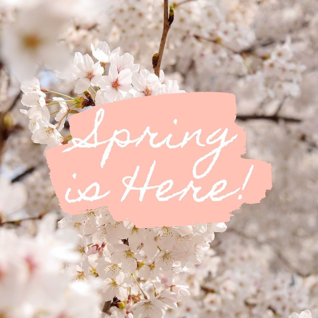 Instagram marketing strategy: How to build your plan | Canva