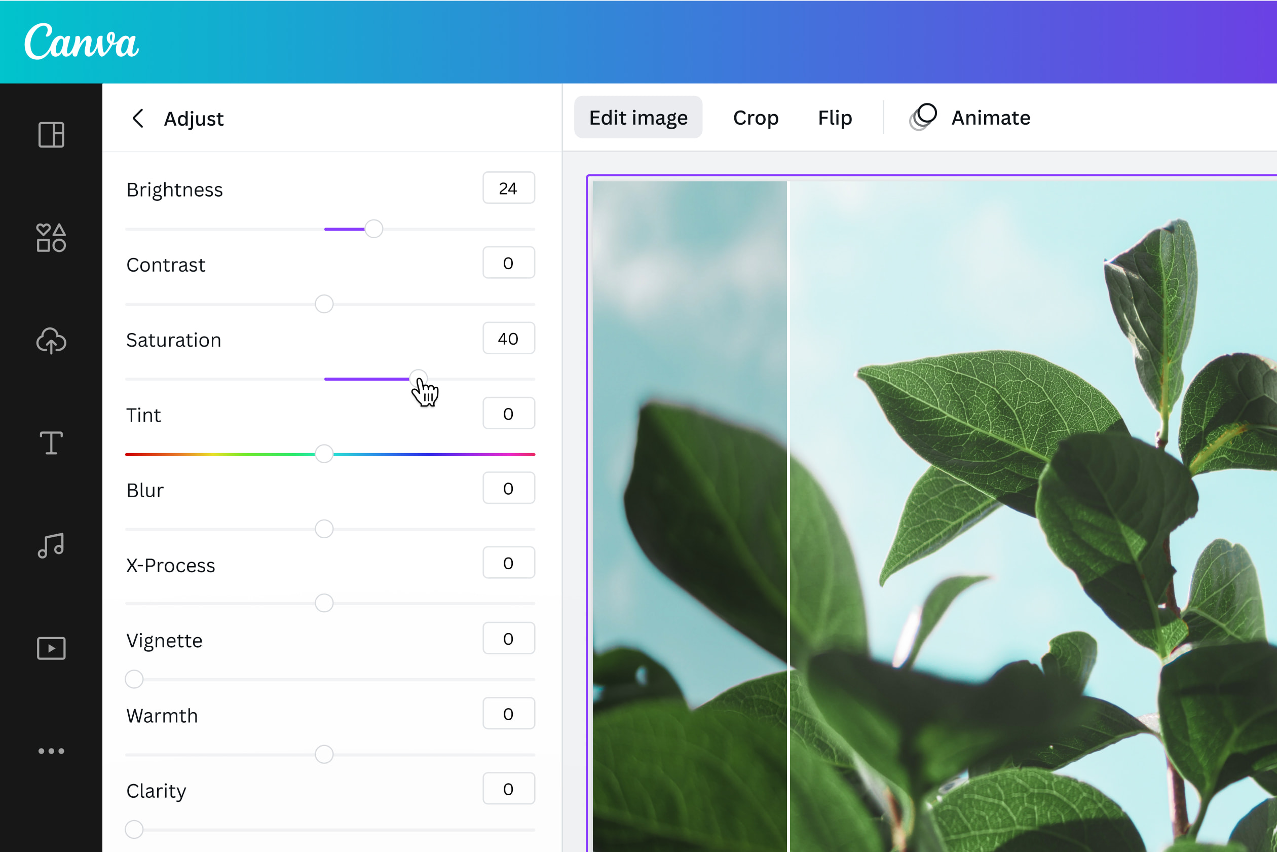 HEIC a JPG: Convierte HEIC a JPG online gratis | Canva