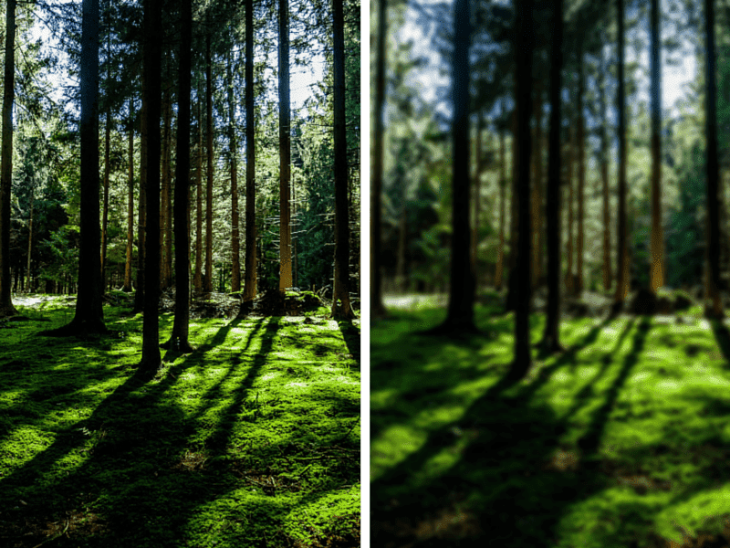 Desenfoca tus fotos en línea gratis con Canva