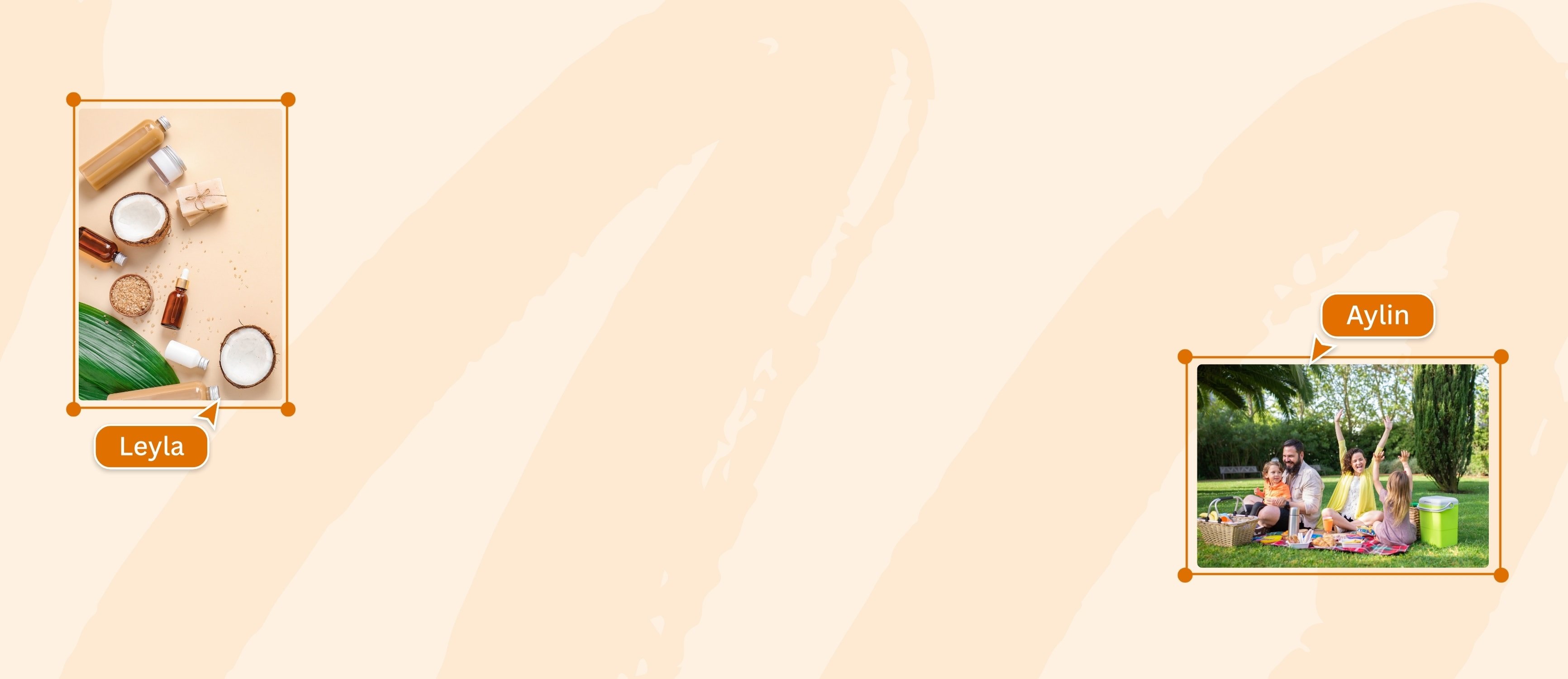 JPG PNG Çevirme Aracı: Online ve Ücretsiz | Canva