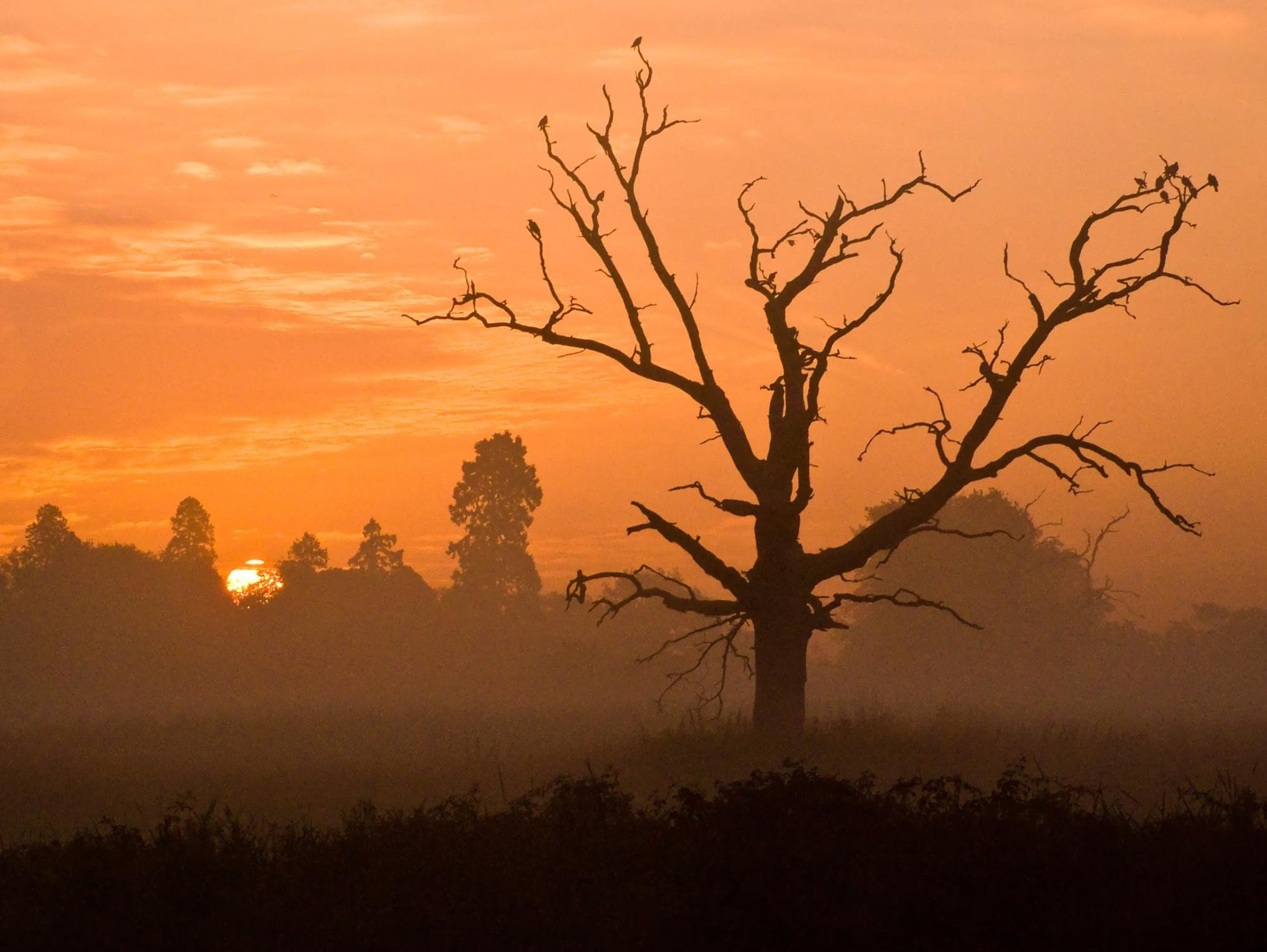 7 photo series to inspire make your own