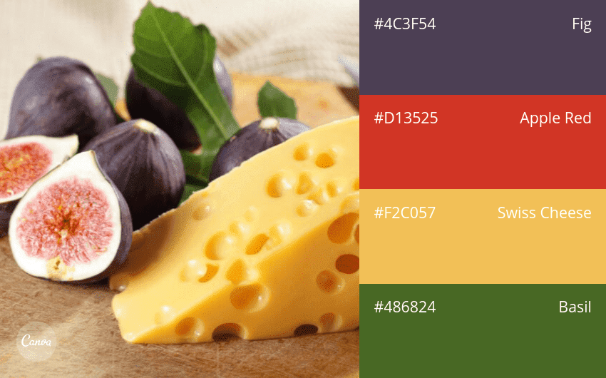 100 combinaisons de couleurs inspirantes & un outil gratuit | Canva