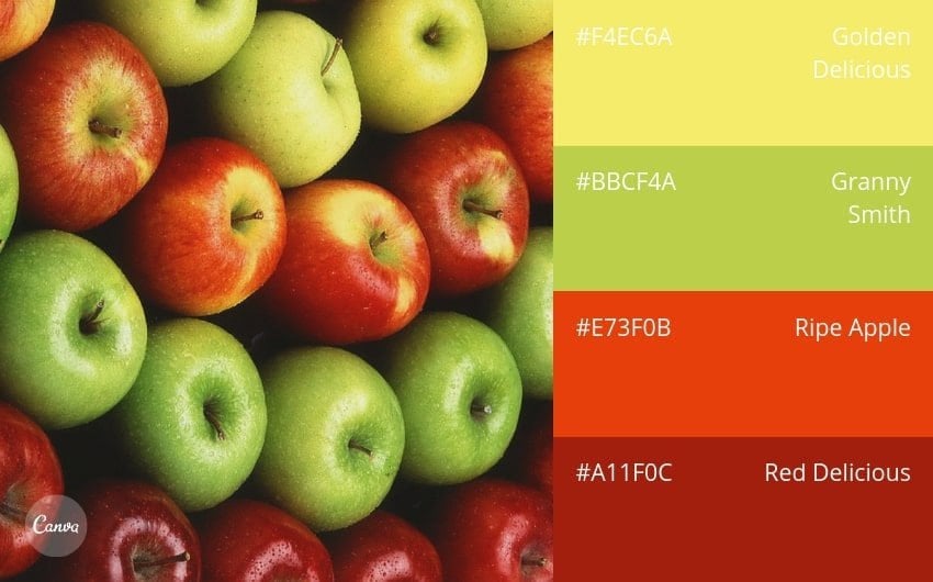 100 combinaisons de couleurs inspirantes & un outil gratuit | Canva