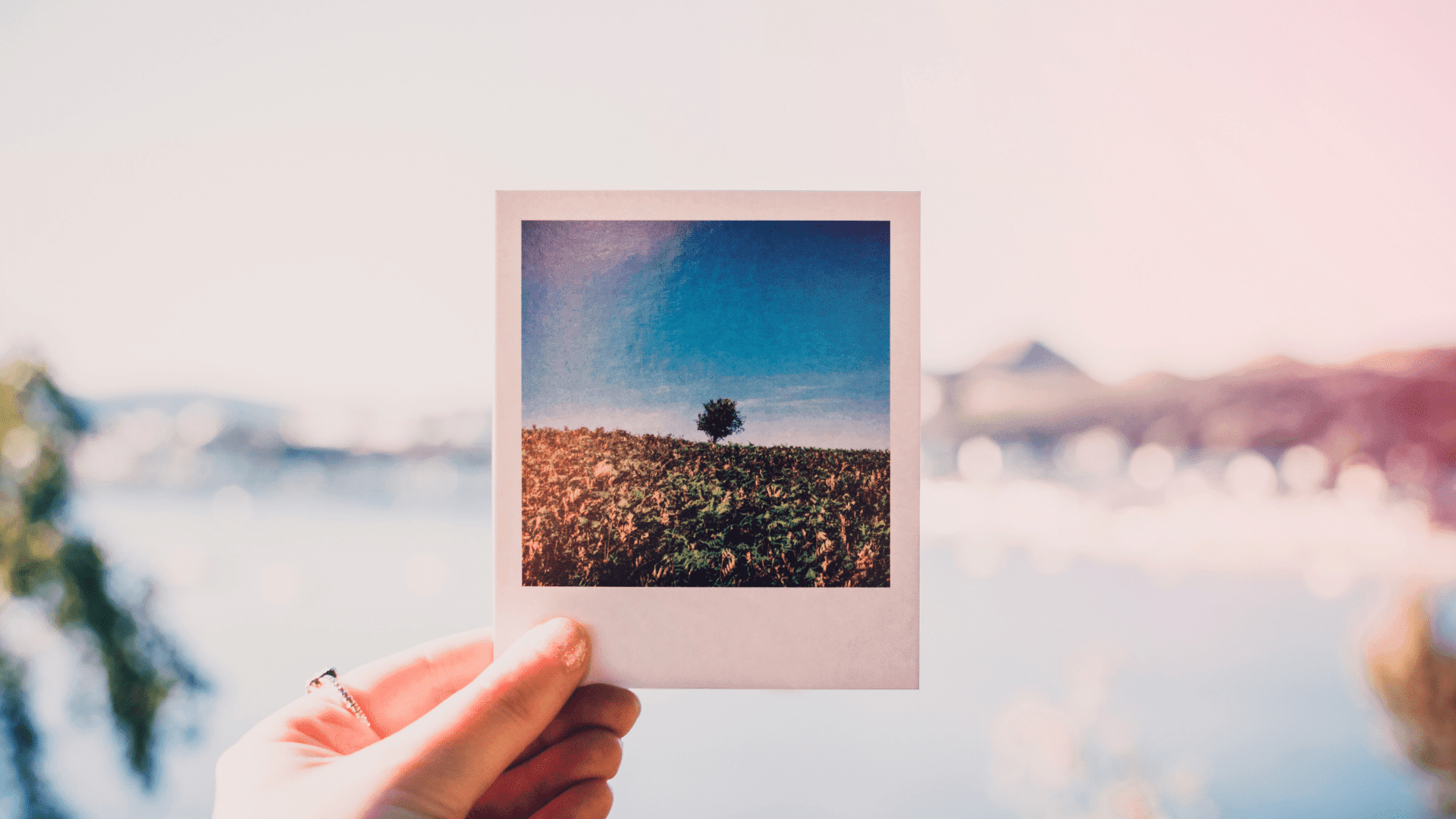 Quels sont les meilleurs filtres photo pour vos images ? | Canva