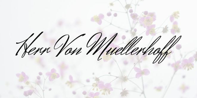 25 belles polices d'écriture calligraphique et manuscrite | Canva