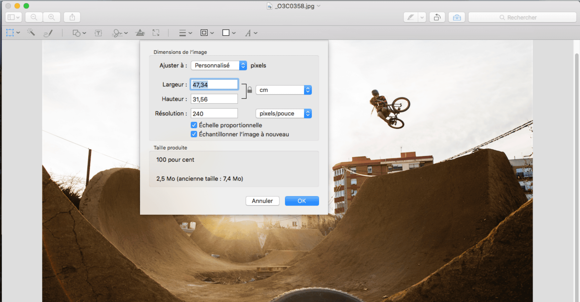 Comment redimensionner une image ? | Canva