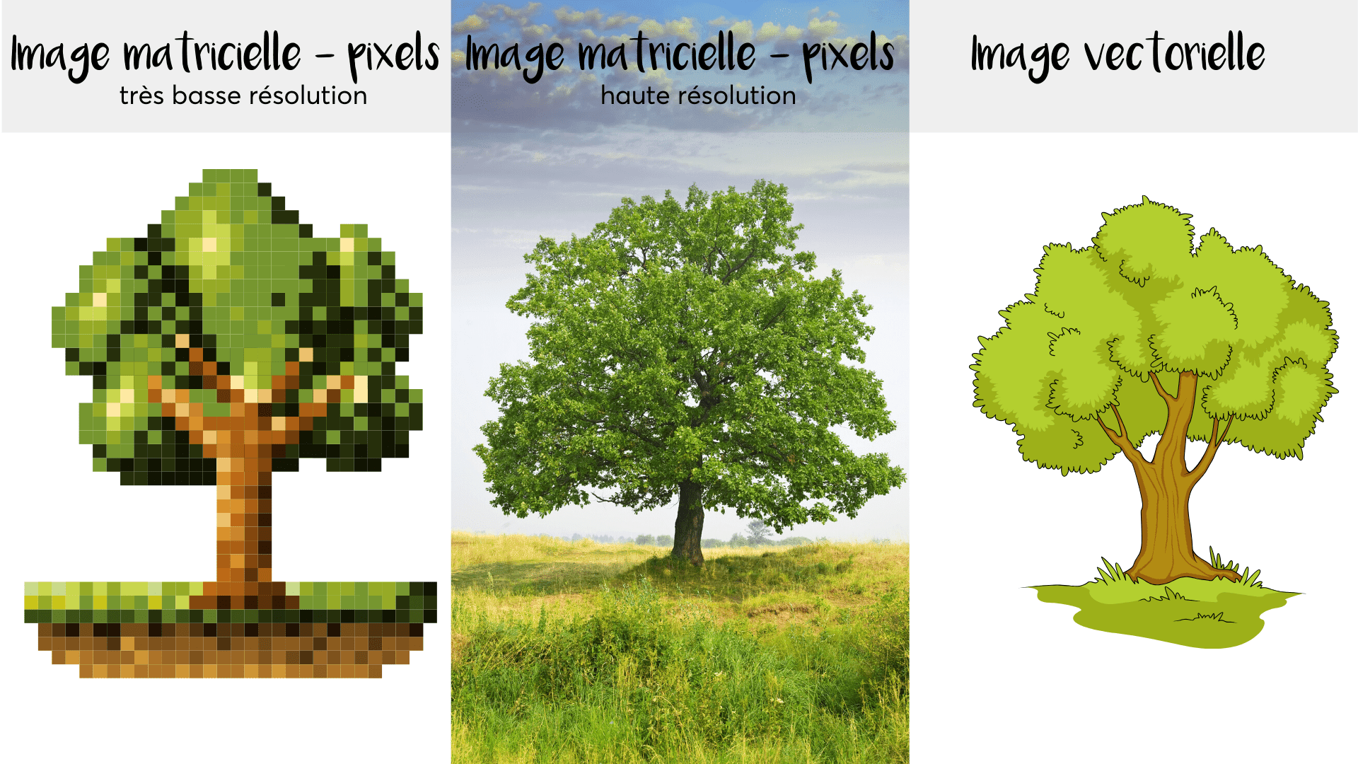 Comment redimensionner une image ? | Canva