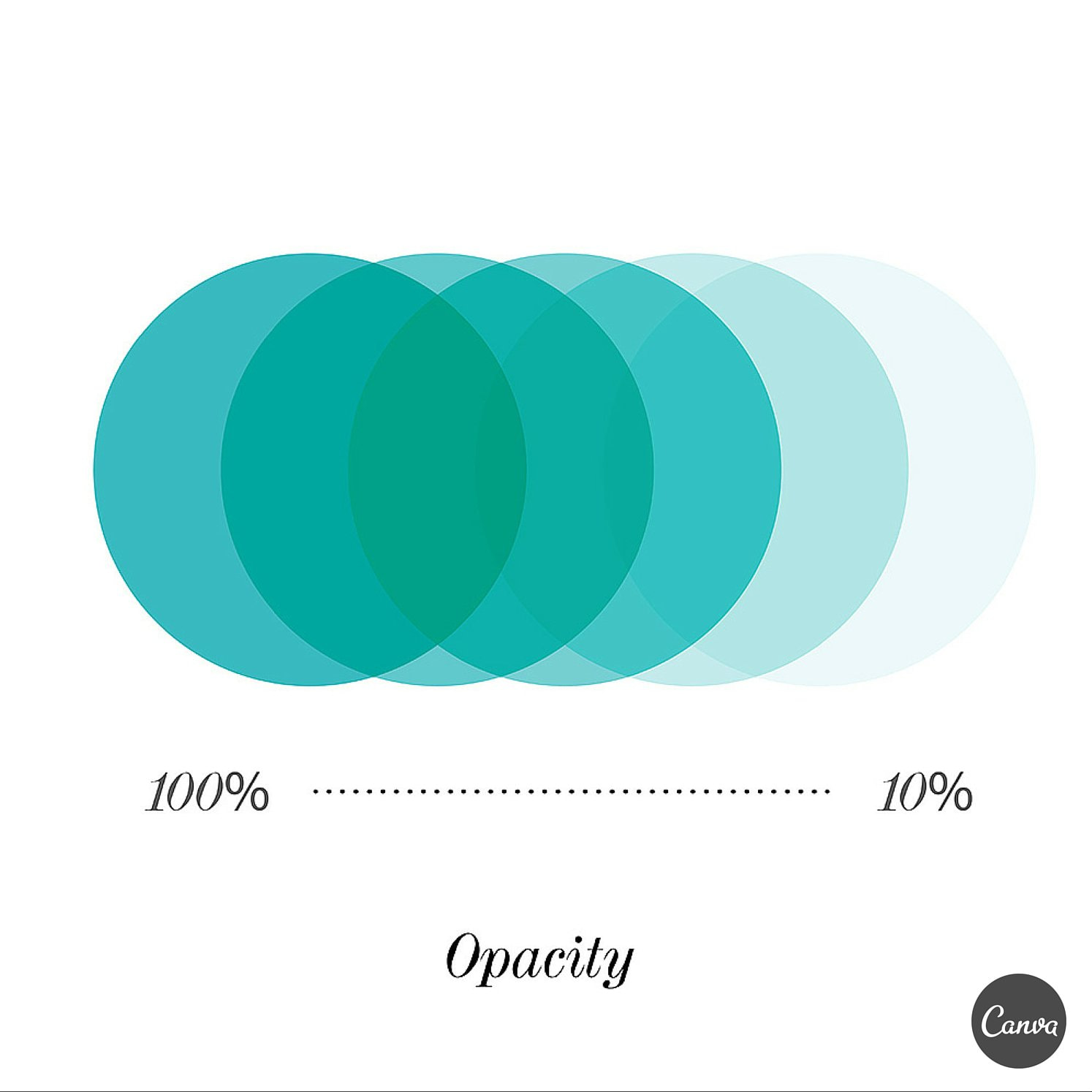 50 design words to know | Canva