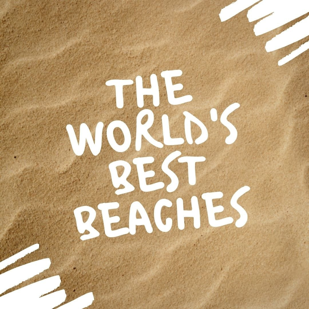 40 of the best (Free) franchise fonts for your business | Canva Learn