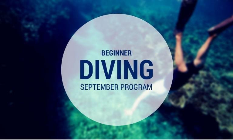 How to design with white space