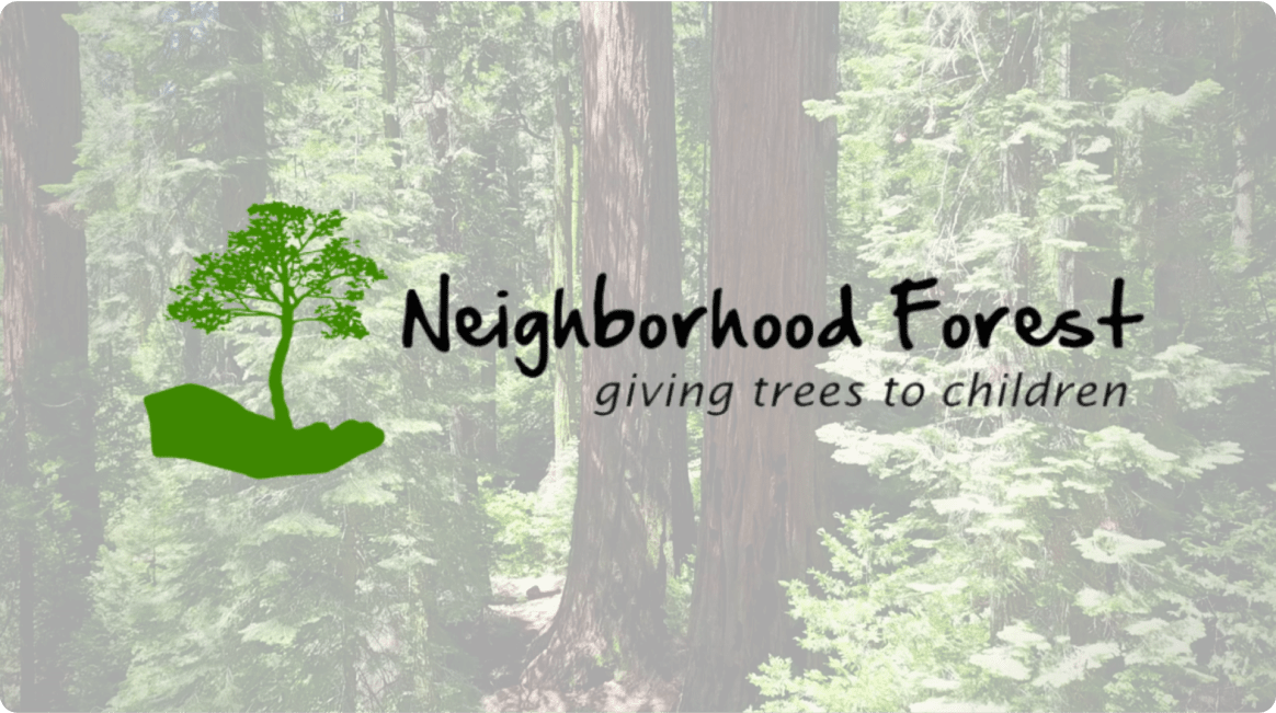 Canva Community Awards