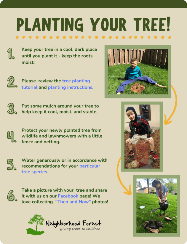 Canva Community Awards