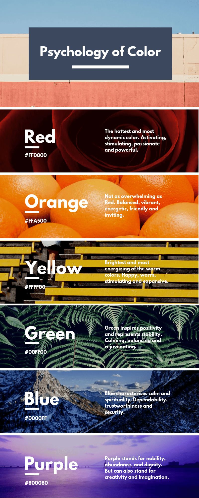 40 of the best infographics to inspire you | Canva