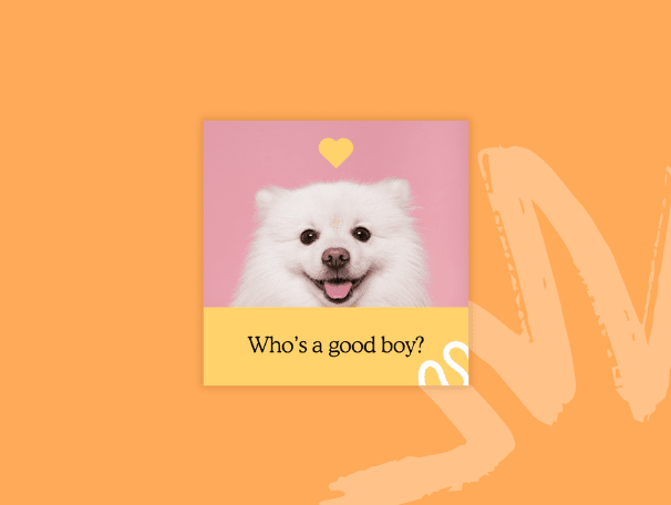 Create Google Ads with Canva