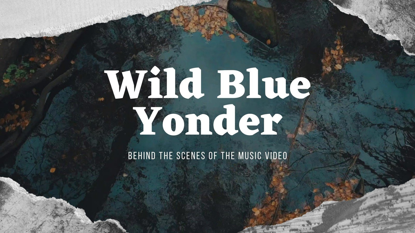 Free music video maker to create music videos online | Canva