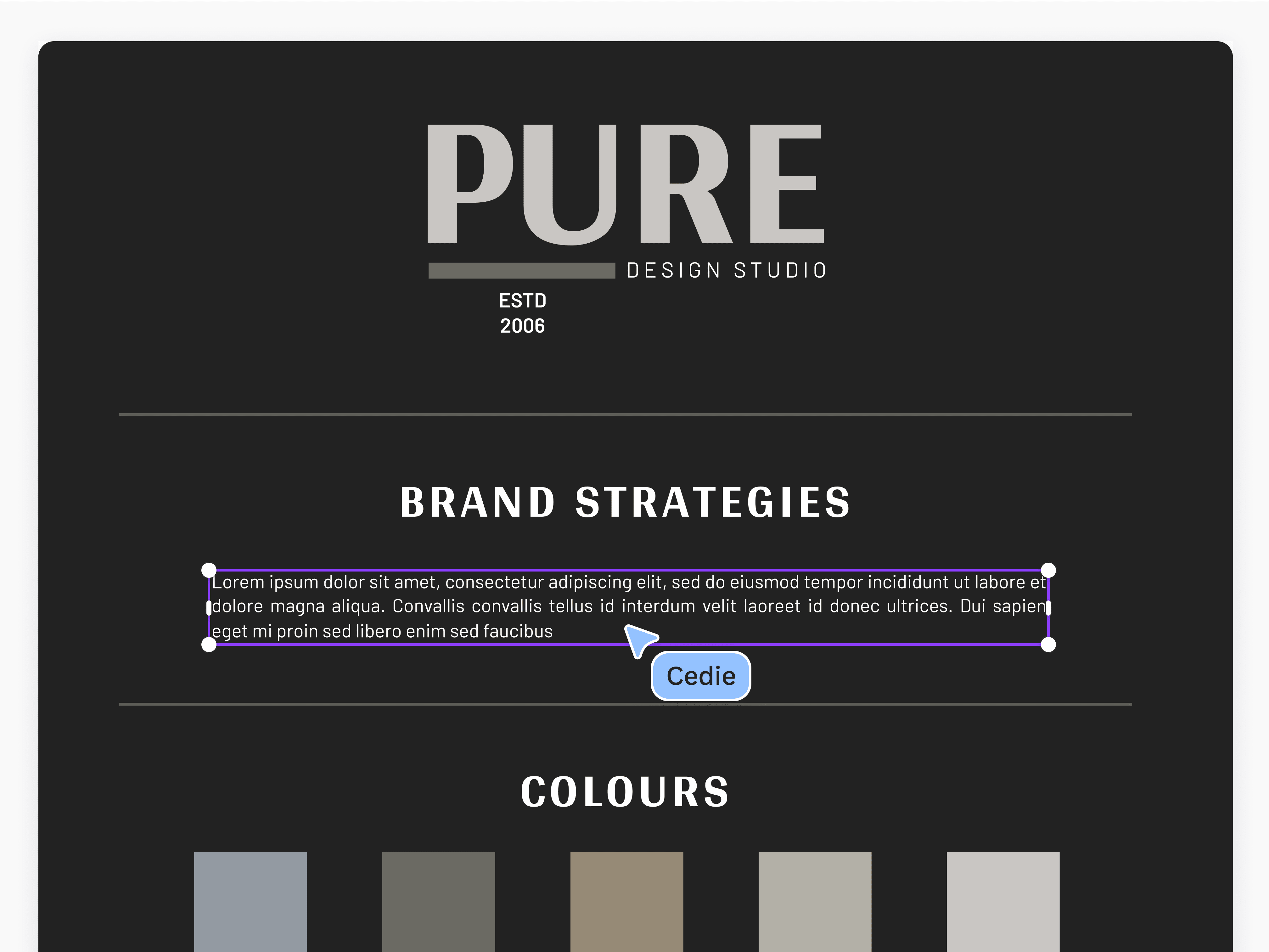 Create a Style Guide (How-tos, Examples, Tips) | Canva