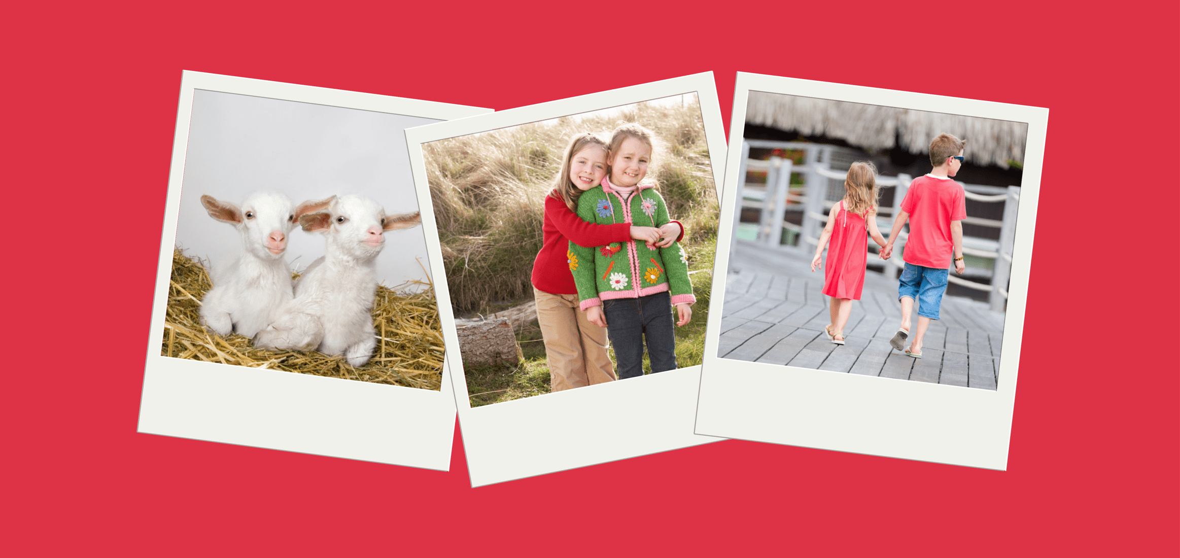 5 essential Canva tools you need to know about