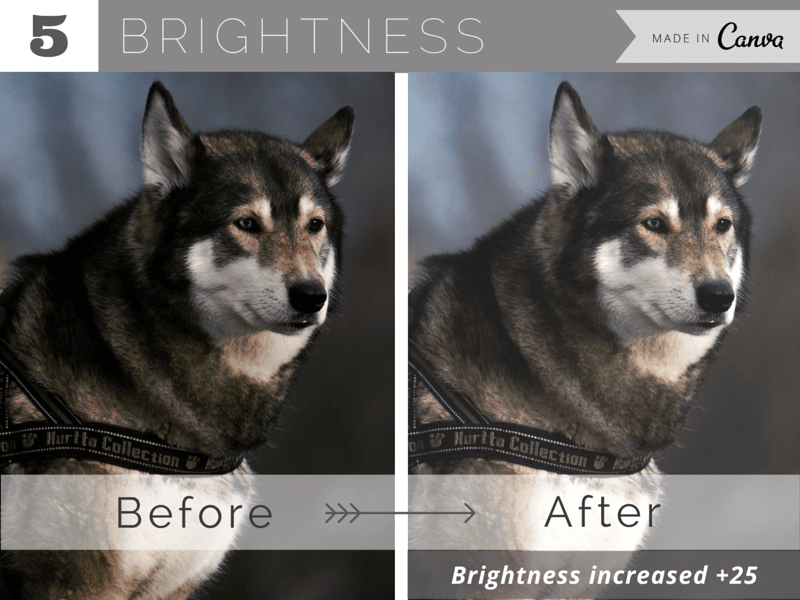10 simple ways to enhance your images