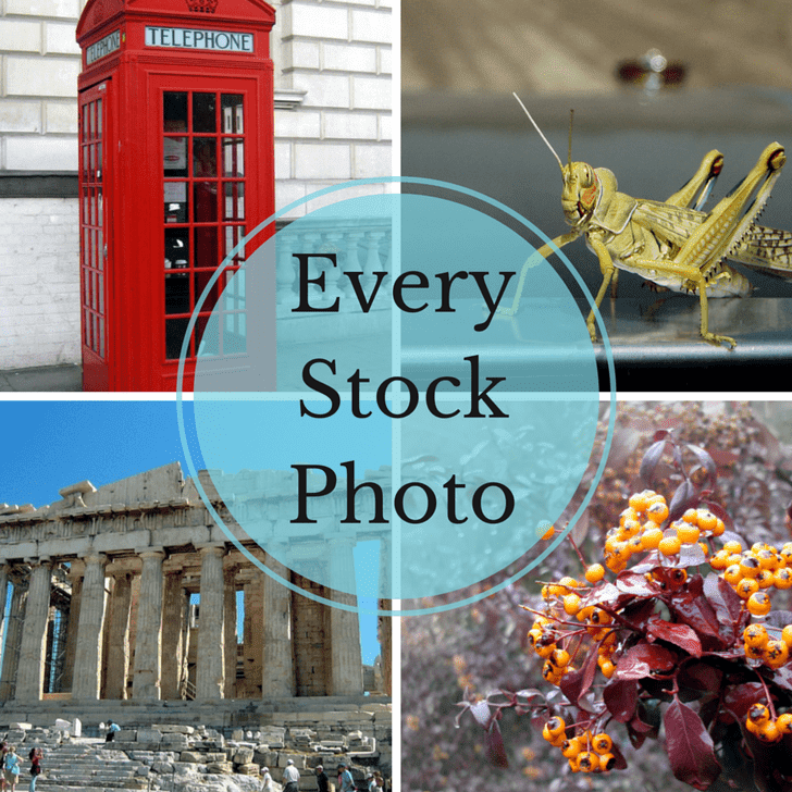 Stok Foto Gratis: 73 Situs untuk Gambar Keren - Canva