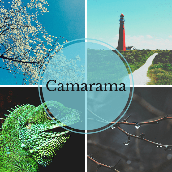 Stok Foto Gratis: 73 Situs untuk Gambar Keren - Canva