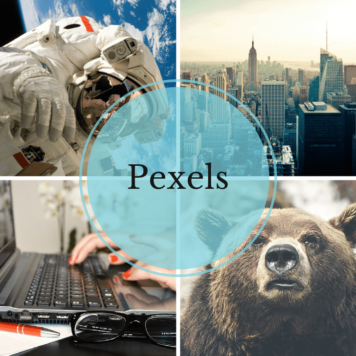 Stok Foto Gratis: 73 Situs untuk Gambar Keren - Canva
