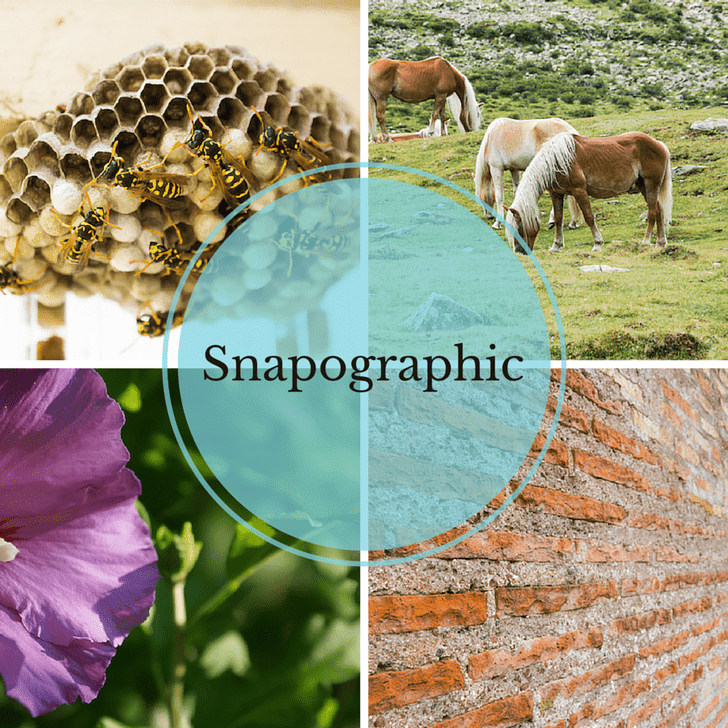 Stok Foto Gratis: 73 Situs untuk Gambar Keren - Canva