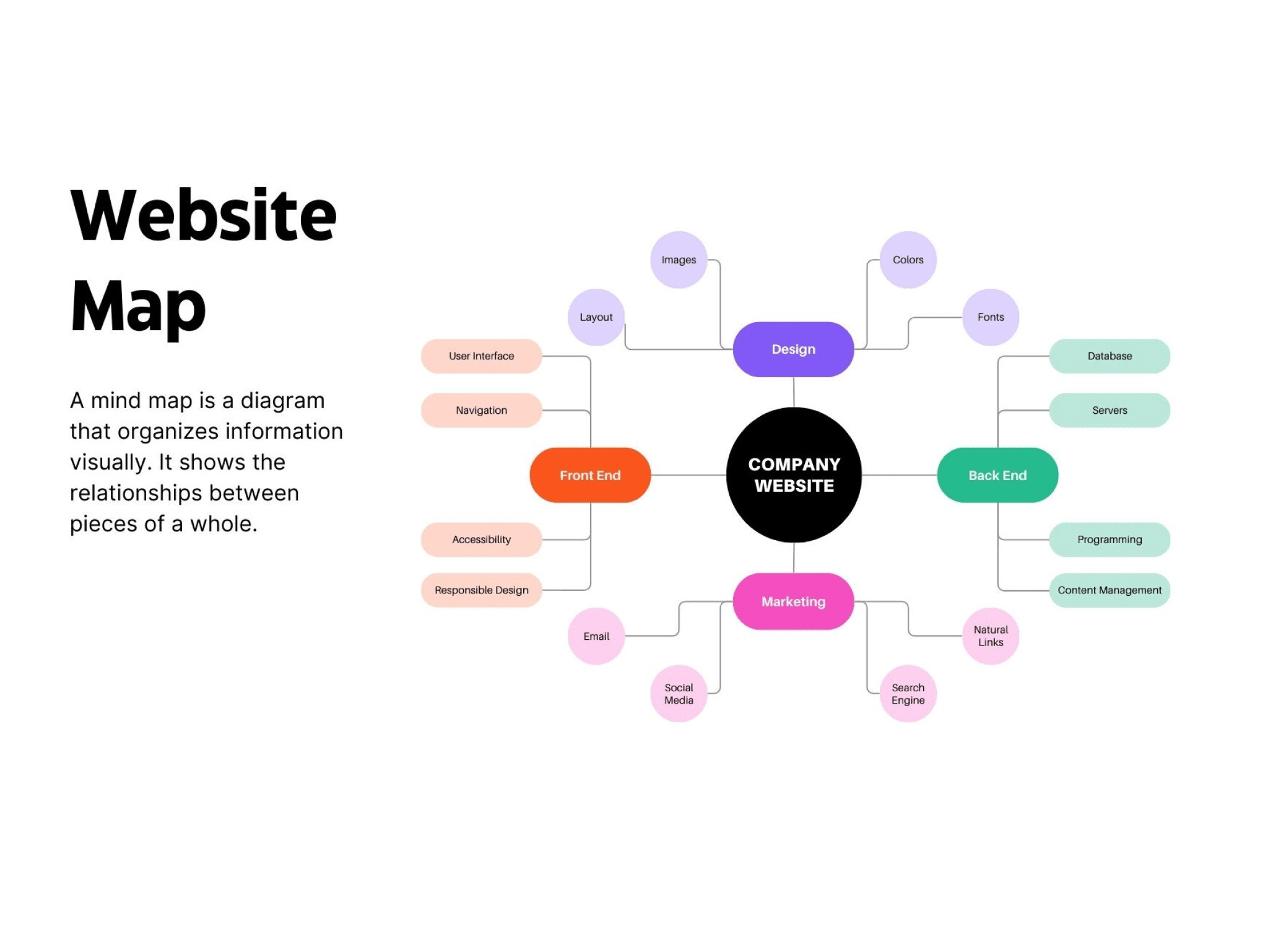 Semplice Schema Di Ragno Orbweb1.jpg
