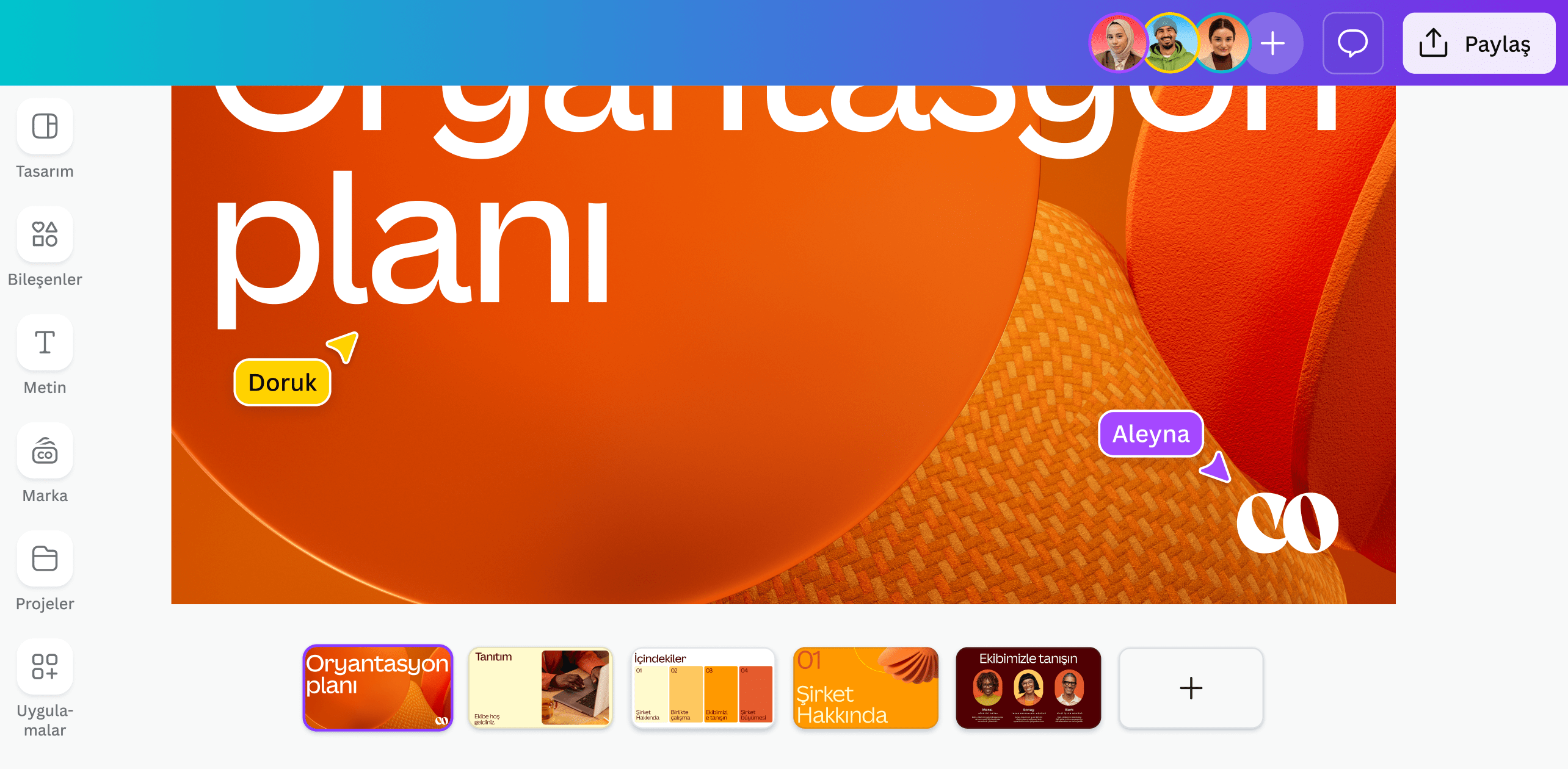Canva Create: Tasarımın Yeni Dünyası