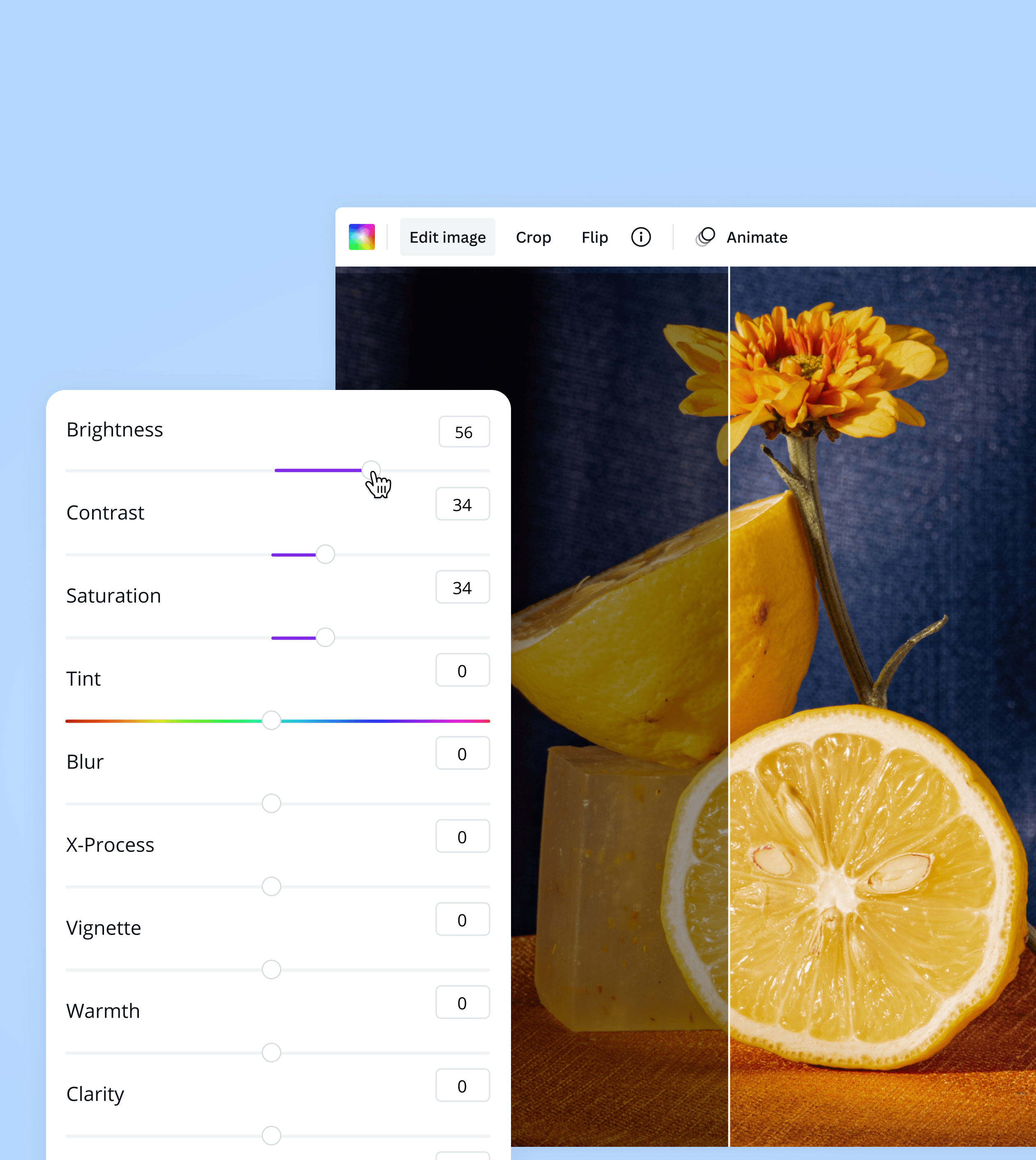 Canva pour les créatifs : concevez en toute facilité un contenu de marque de qualité