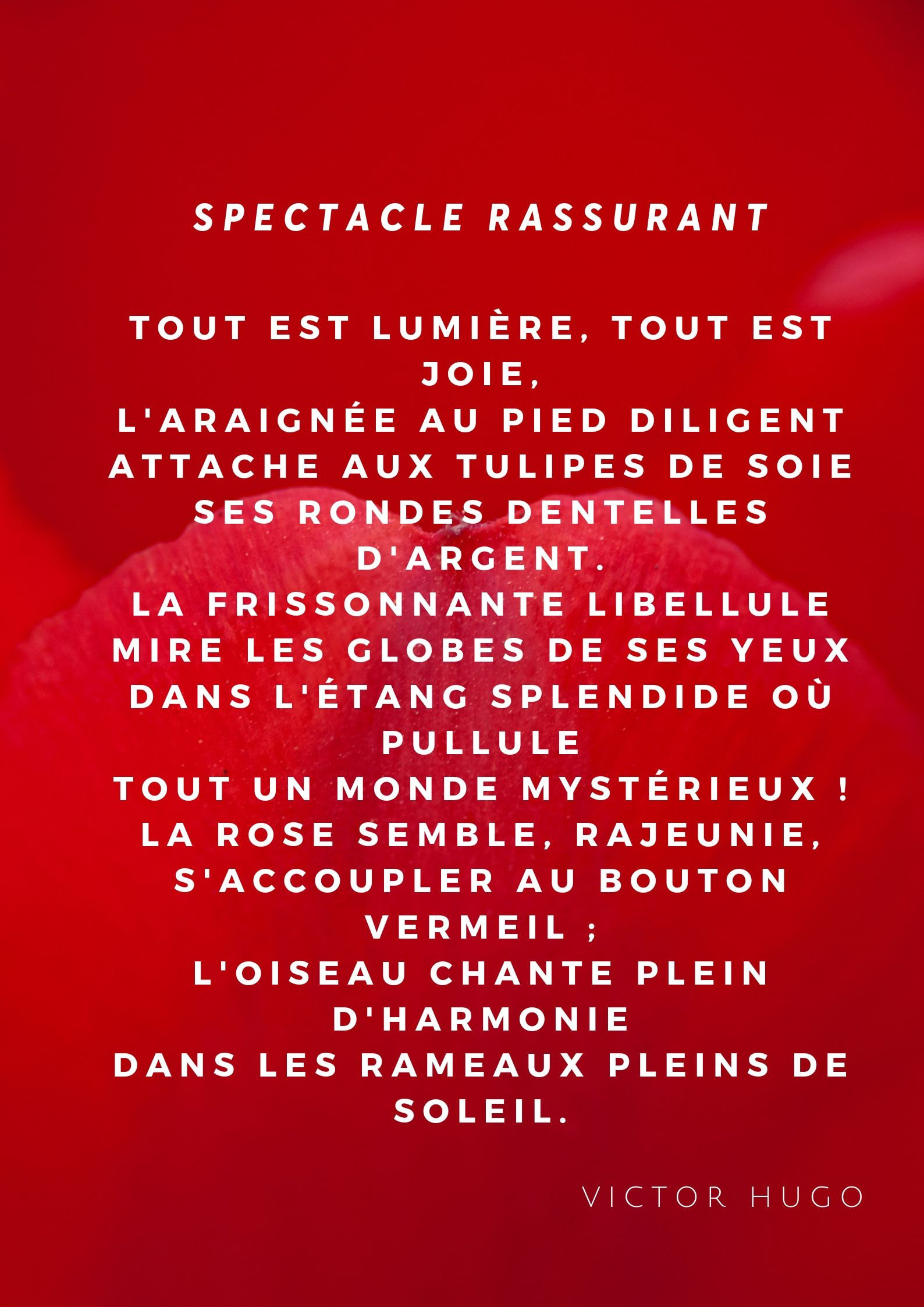 Les plus belles affiches pour votre salle de classe | Canva