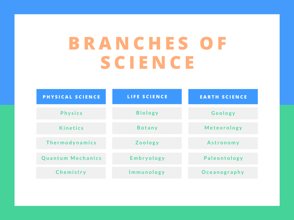 Concept-Map online und kostenlos erstellen – Canva